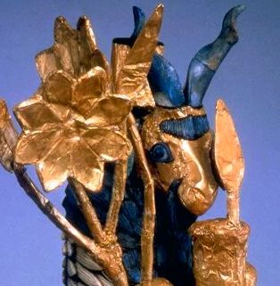 Fatima Raja – Writing, editing, research